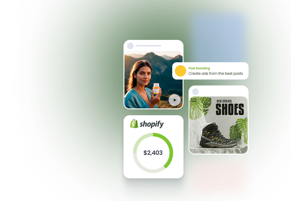 Shopify Partner